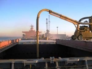 Bulk Discharge & Cargo Handling - Nectar Group