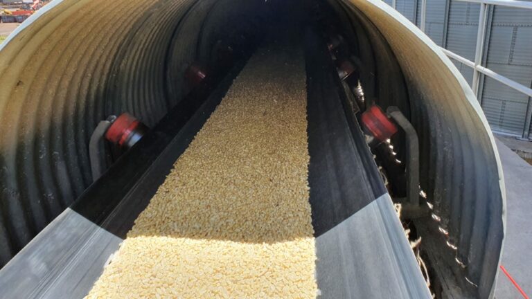 Nectar Designs Beira Grain Terminal with 50,000 mts capacity - Nectar Group