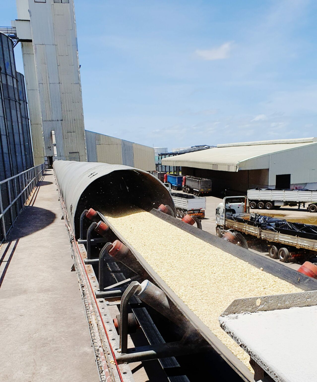 Nectar Designs Beira Grain Terminal with 50,000 mts capacity - Nectar Group