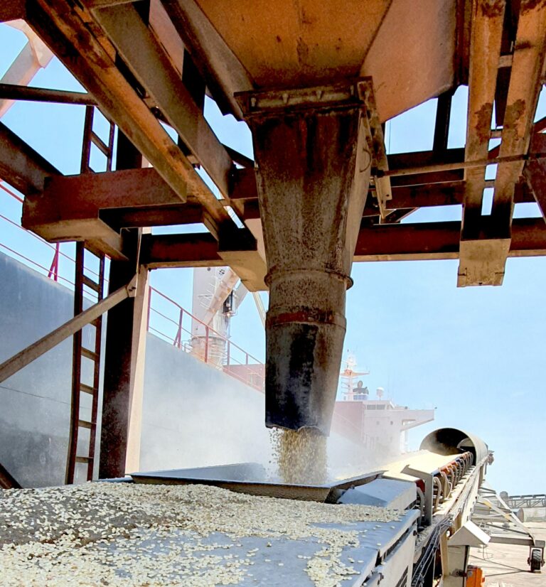 Nectar Designs Beira Grain Terminal with 50,000 mts capacity - Nectar Group